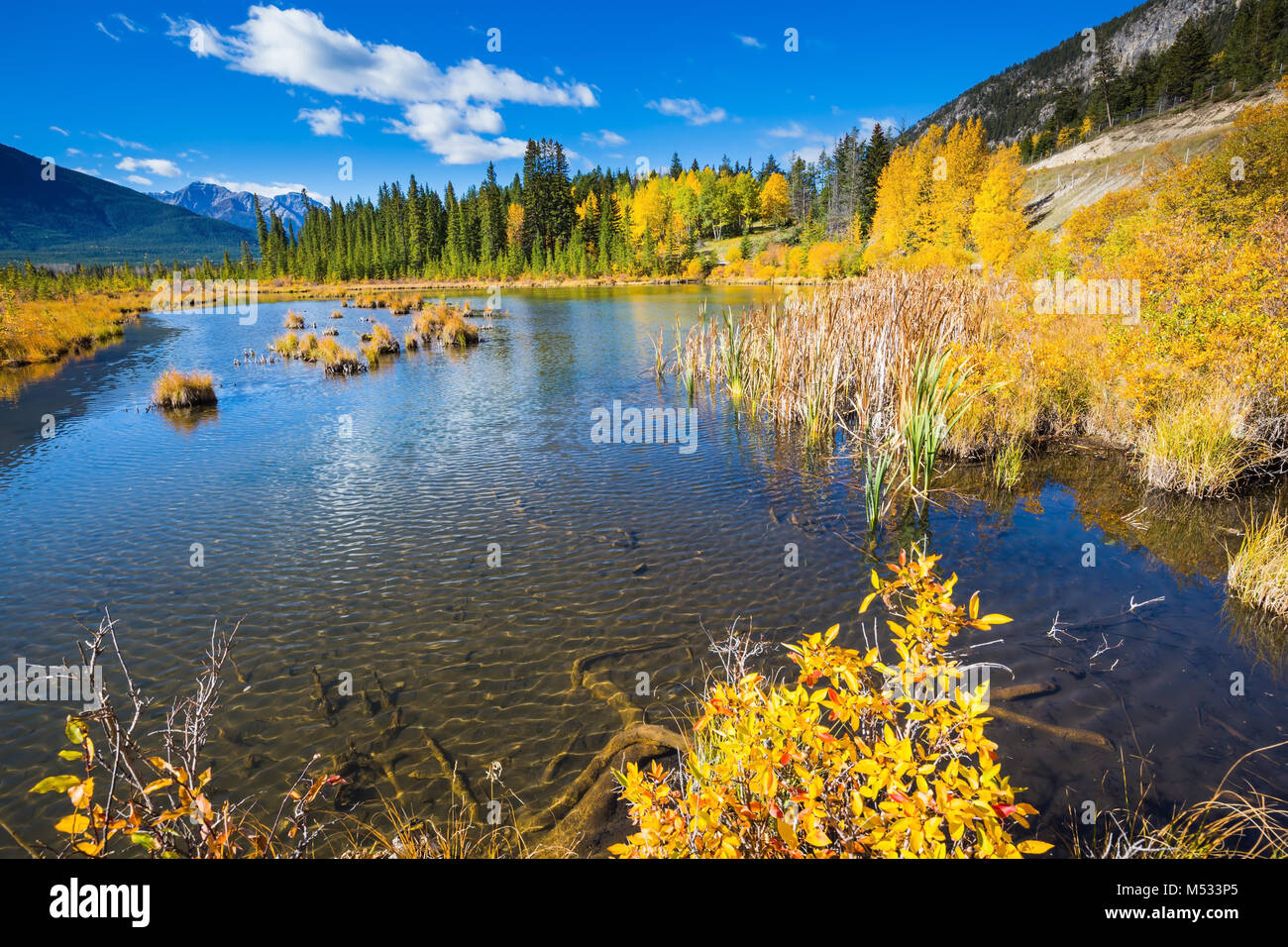 The lake Vermilion among the woods Stock Photo - Alamy