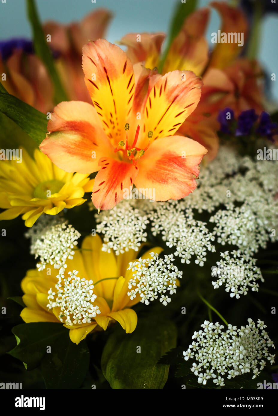 Variety Flower Bouquet Stock Photo - Alamy