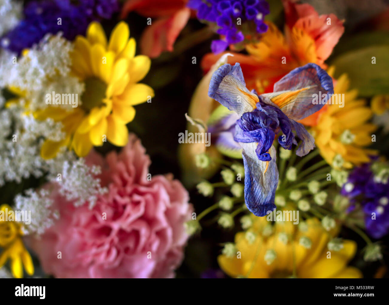 Variety Flower Bouquet Stock Photo - Alamy