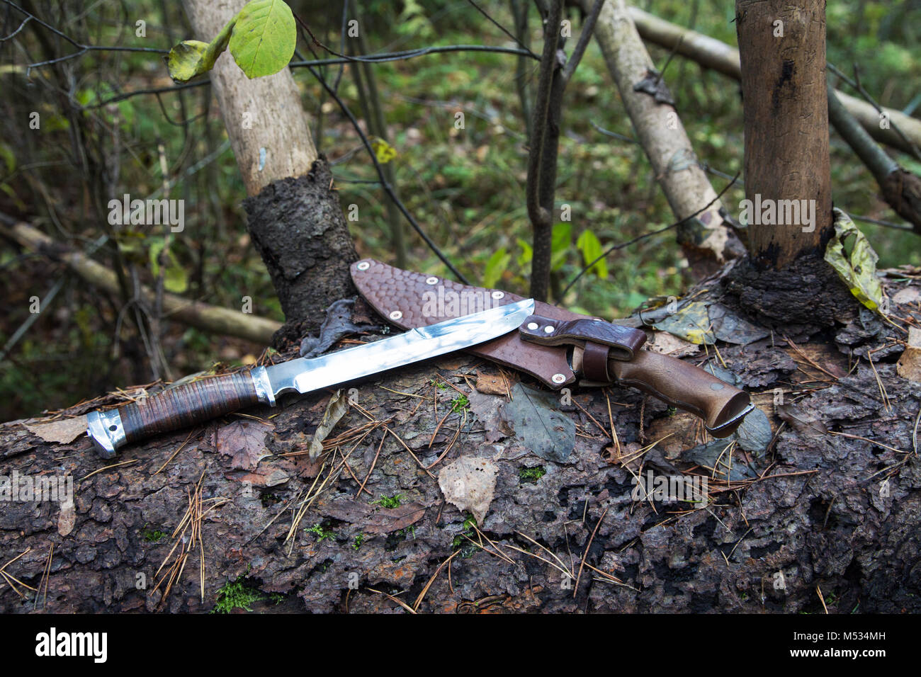 hunting knife on a fallen tree in the woods Stock Photo - Alamy