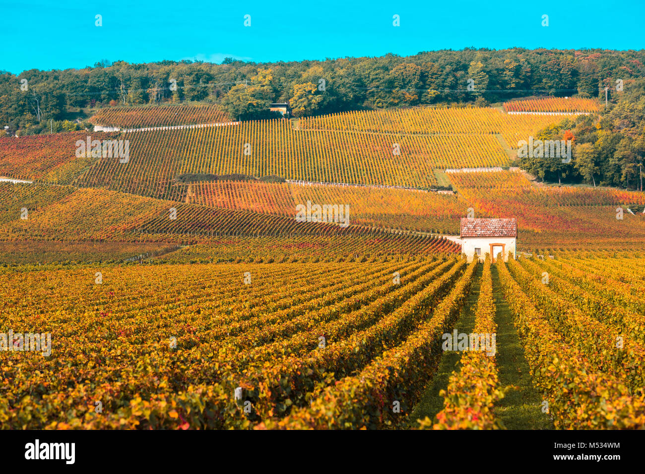 Burgundy wine region hi-res stock photography and images - Alamy