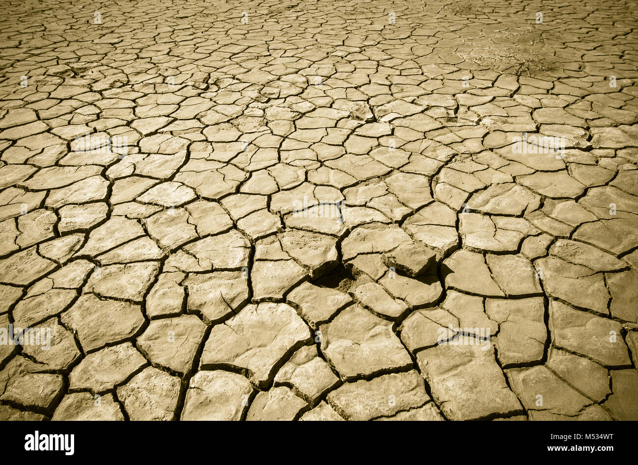 Cracked soil of desert Stock Photo - Alamy