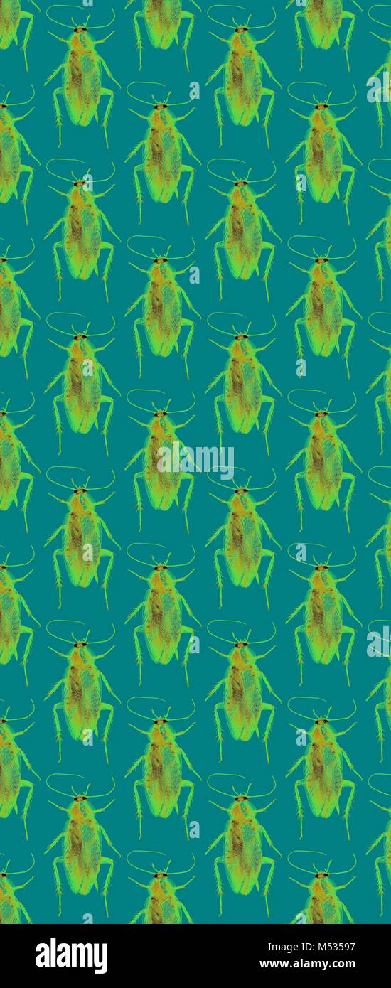 Pattern of Cockroaches on white Background Stock Photo - Alamy