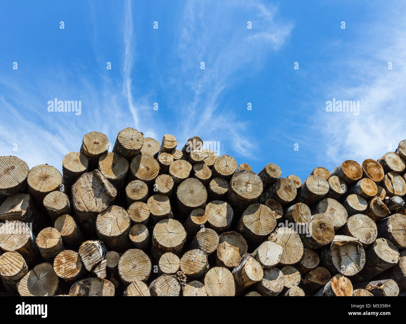 Stack of cut timber Stock Photo - Alamy
