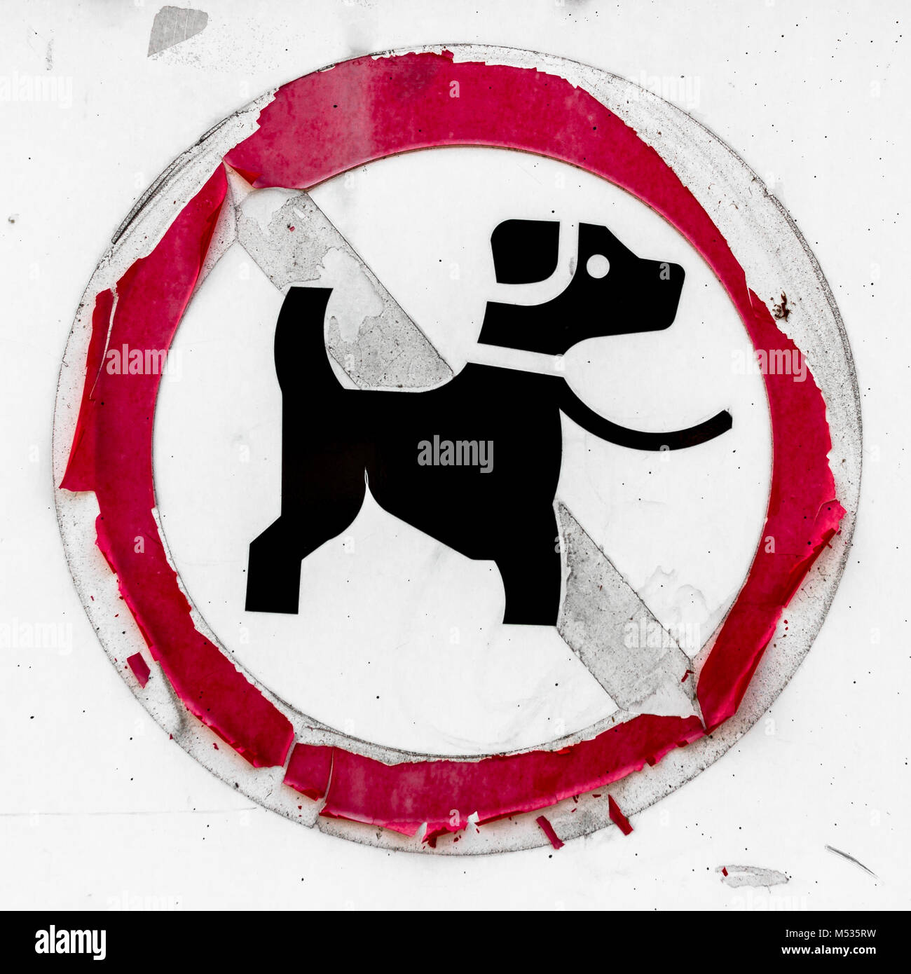 No entry for dogs sign hi-res stock photography and images - Alamy