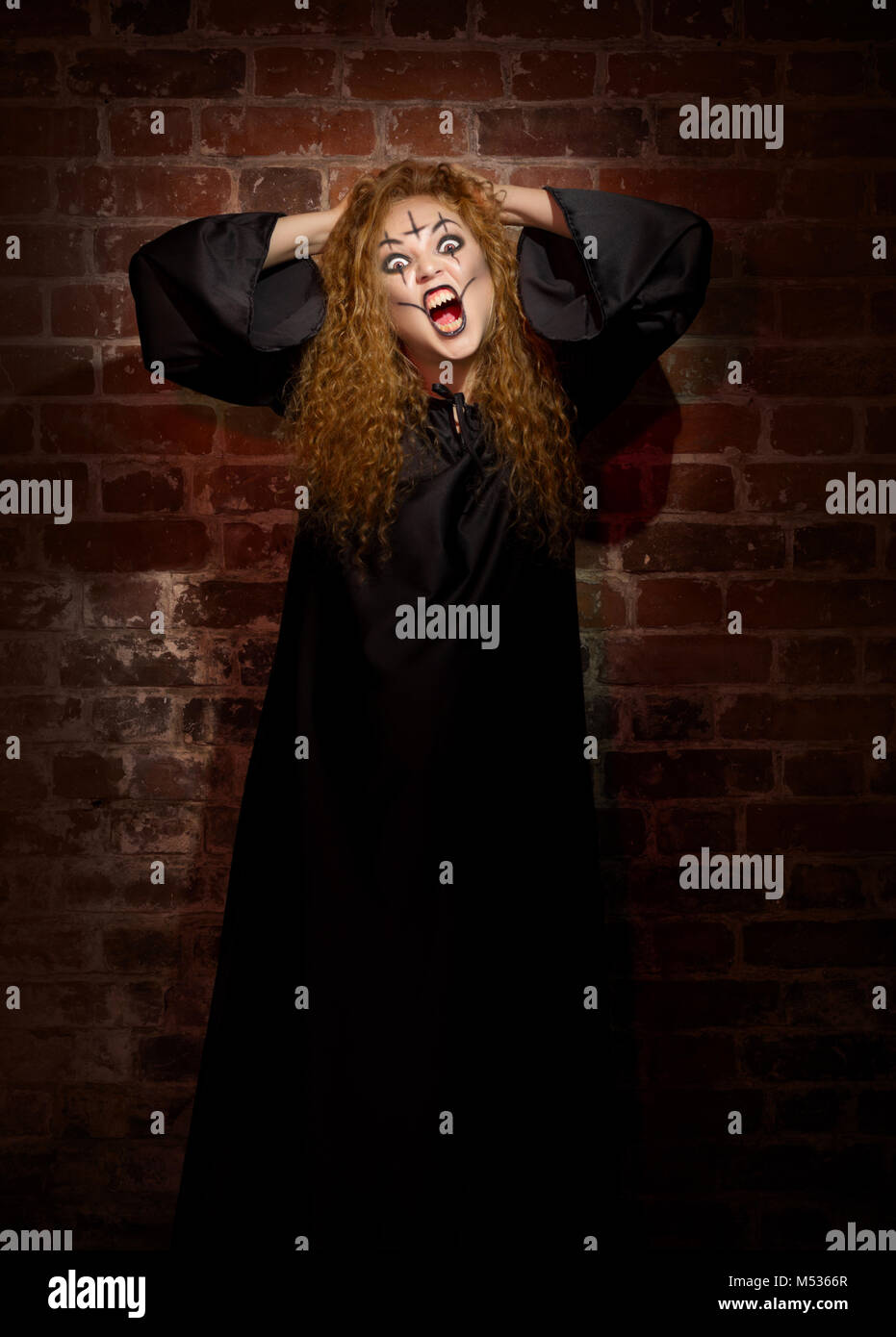 Scary witch on brick background Stock Photo - Alamy