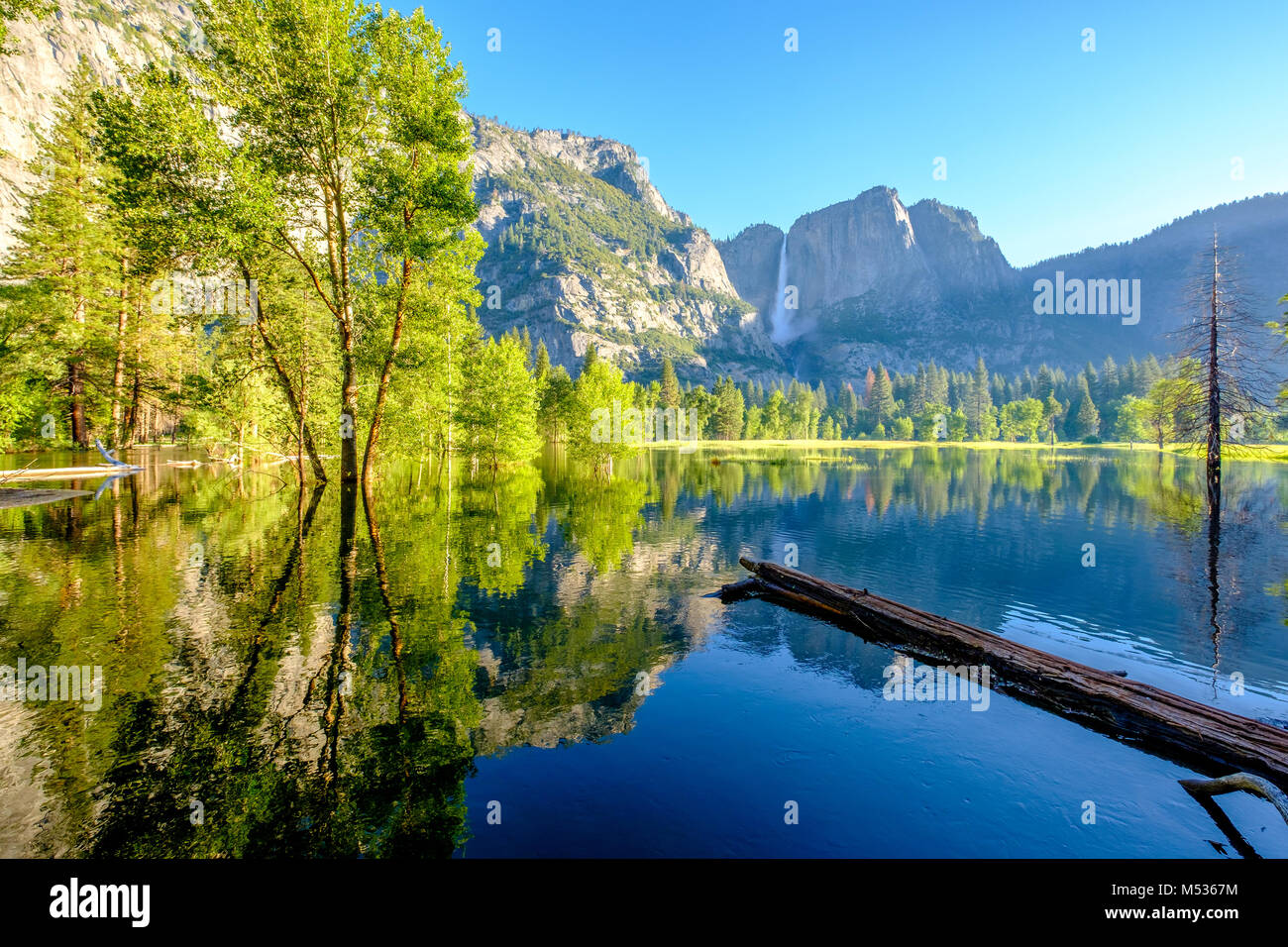 Merced River and Yosemite Falls landscape Stock Photo - Alamy