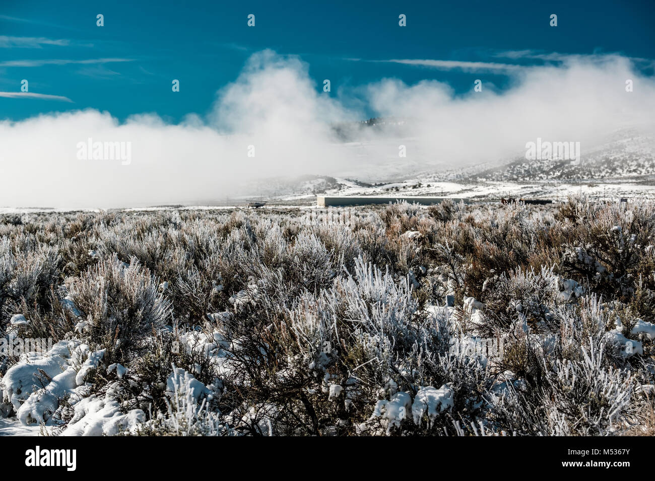 Landscape with hoarfrost Stock Photo - Alamy