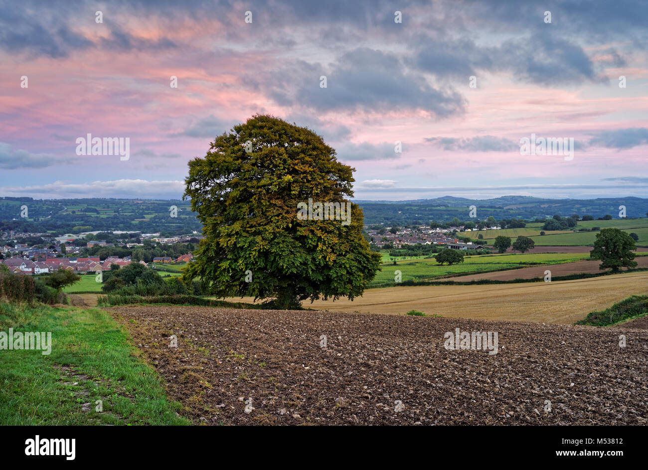 Chard somerset hi-res stock photography and images - Alamy