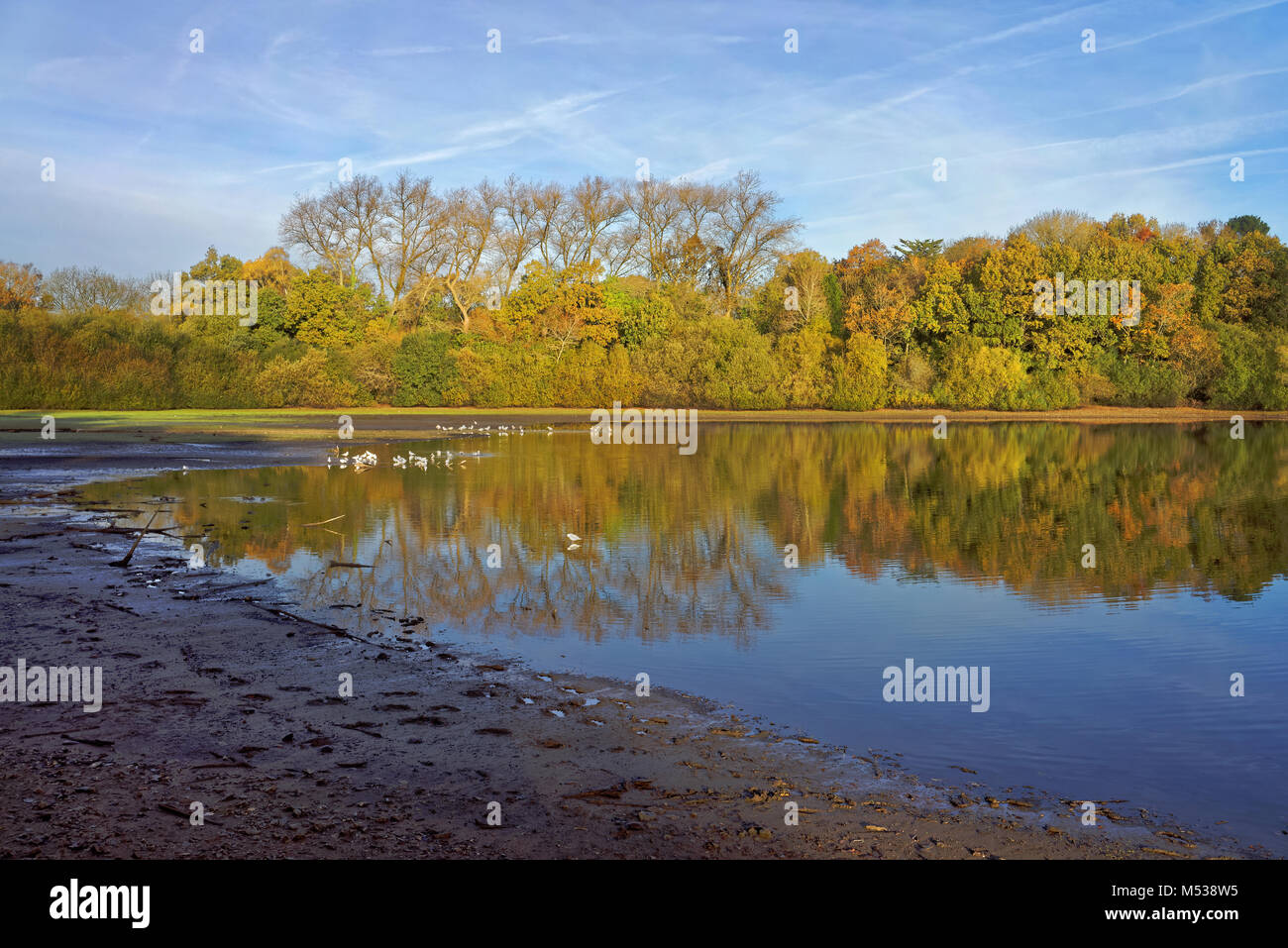 Somerset nature reserve hi-res stock photography and images - Alamy