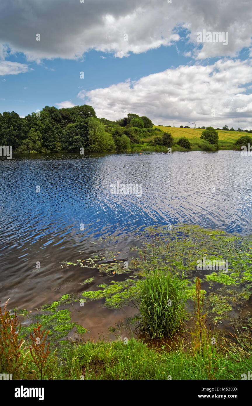 UK,South Yorkshire,Rotherham,Ulley Country Park Stock Photo - Alamy