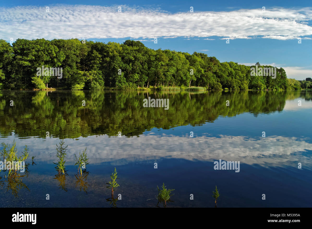 UK, Somerset, Chard Reservoir & Nature Reserve Stock Photo - Alamy