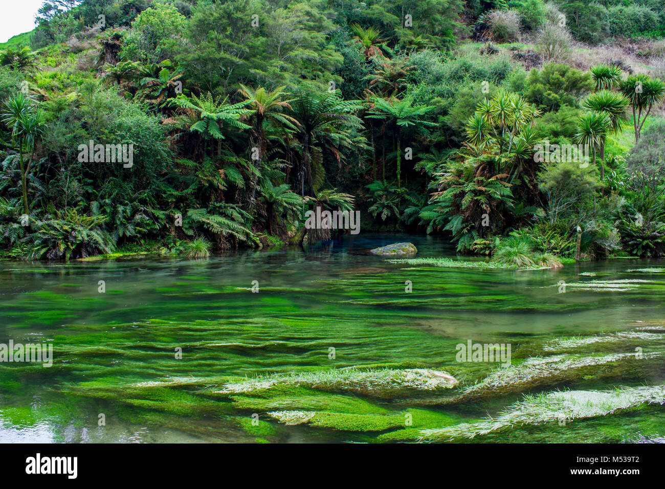 Enchanted landscape with pure clear waterand and a magical blue pool ...