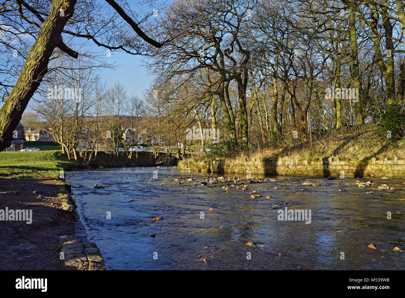 UK,South Yorkshire,Sheffield,River Sheaf running through Millhouses ...