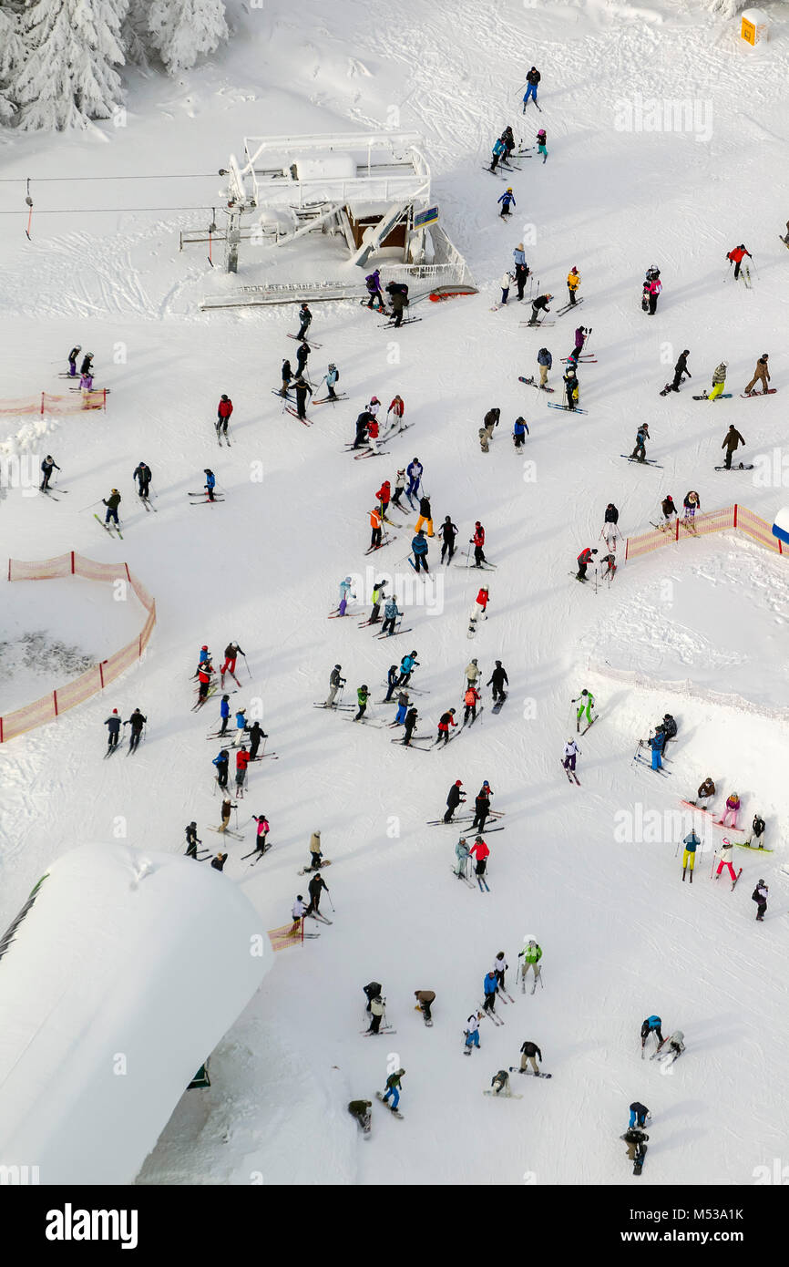 Top view of snakes hi-res stock photography and images - Alamy