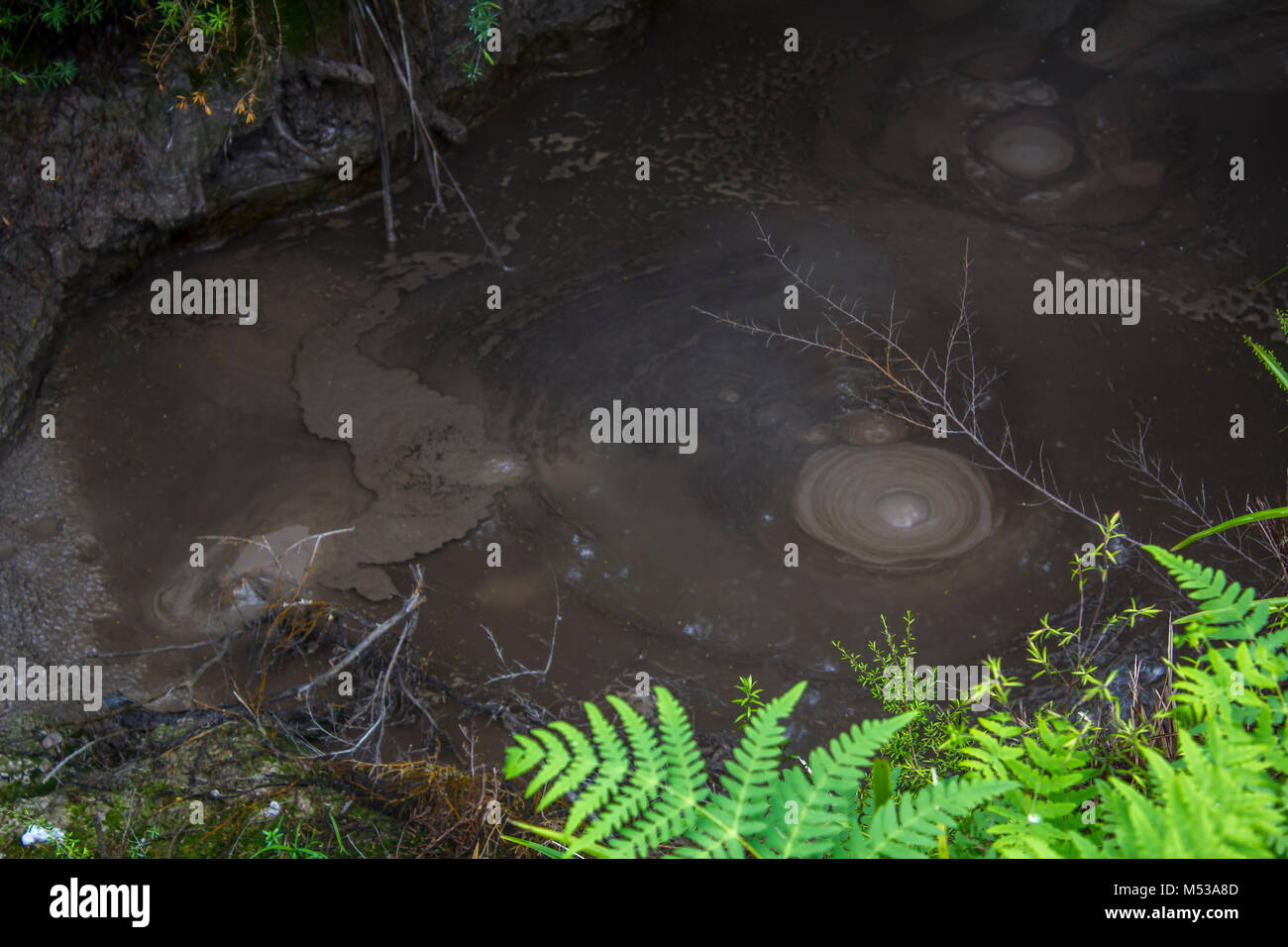Boiling mud pool Stock Photo - Alamy