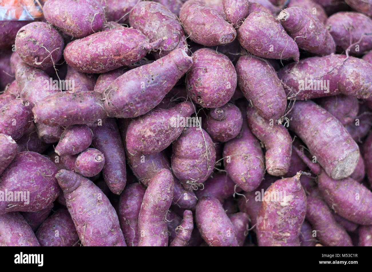 Purple yam hi-res stock photography and images - Alamy