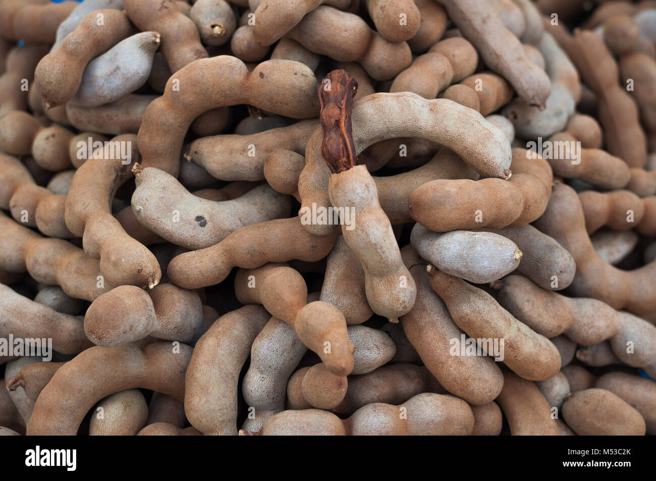 Tamarind peel ripe brown fruit background in market, Tamarindus indica ...