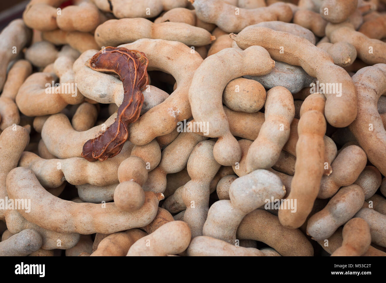 Tamarind peel ripe brown fruit background in market, Tamarindus indica ...