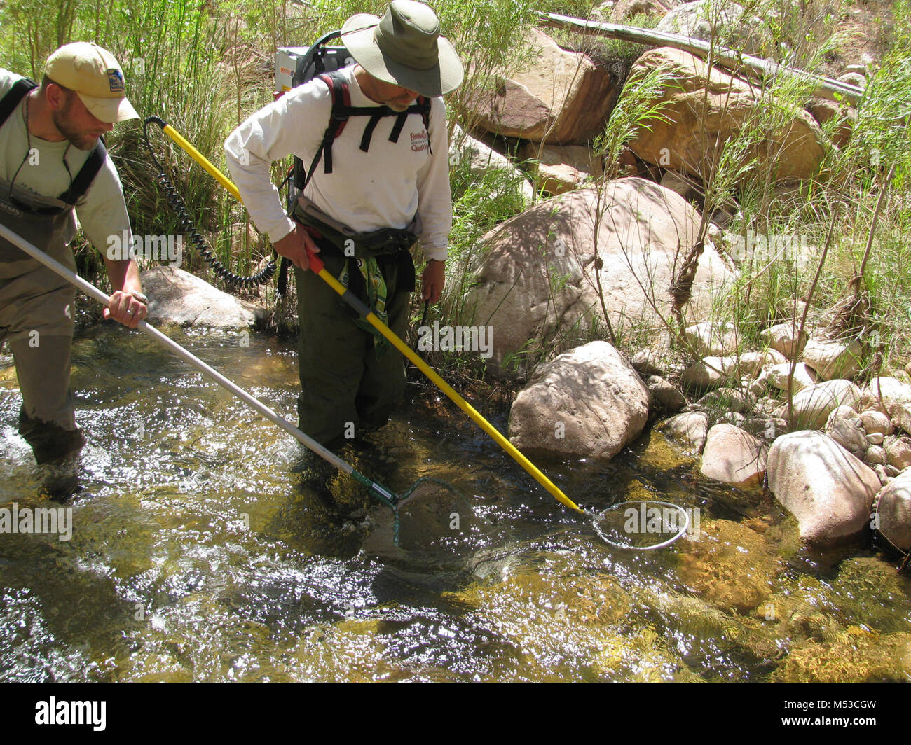 Grand Canyon Humpback Chub Translocation to Shinumo Creek. 2010 ...