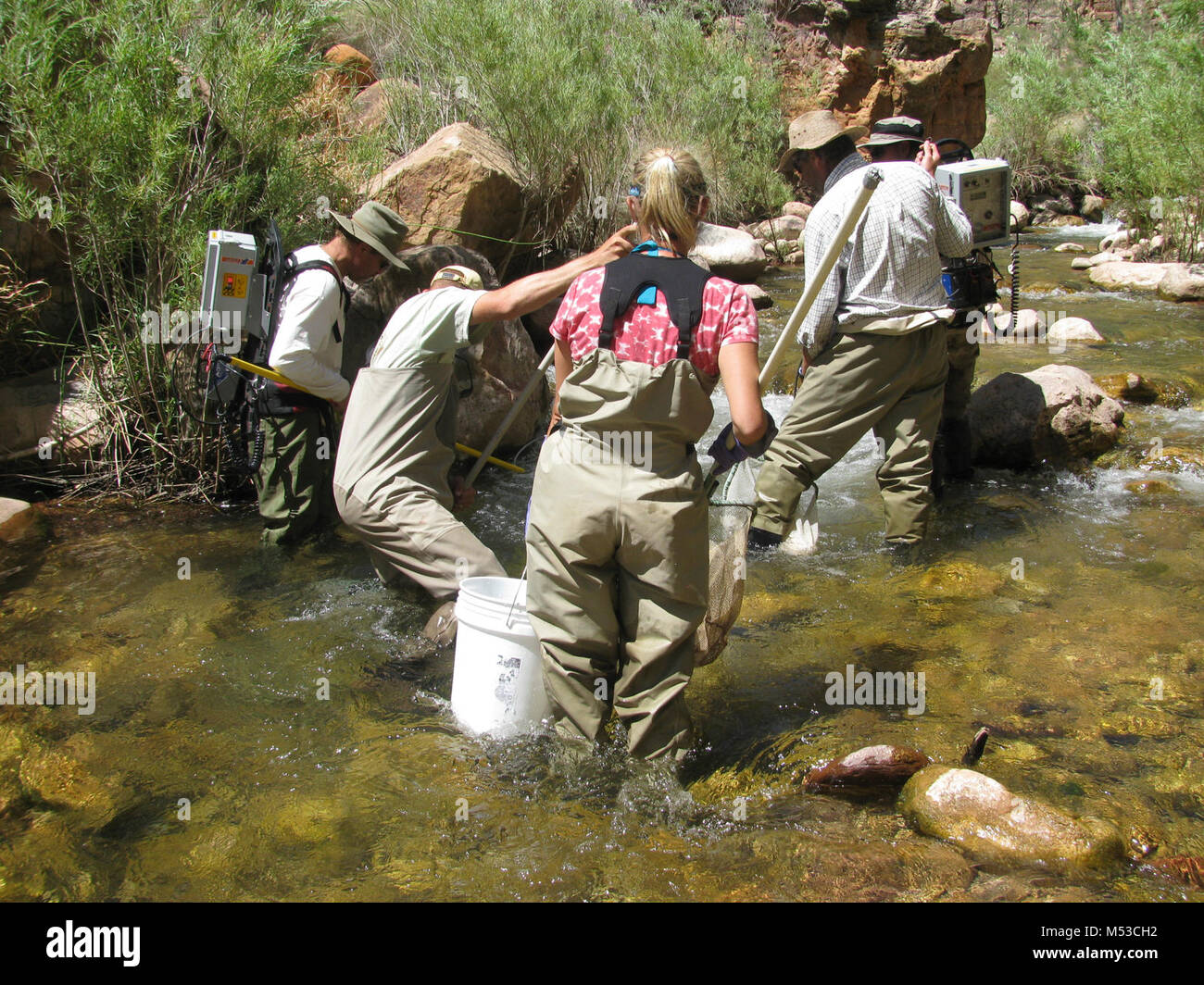 Grand Canyon Humpback Chub Translocation to Shinumo Creek. 2010 ...