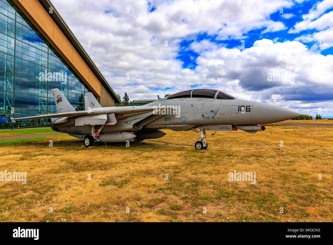 Grumman f 14d super tomcat hi-res stock photography and images - Alamy
