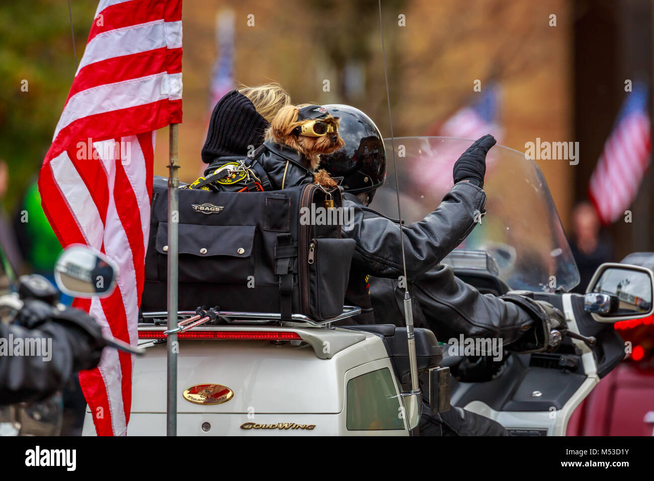 Combat veterans motorcycle association hi-res stock photography and ...