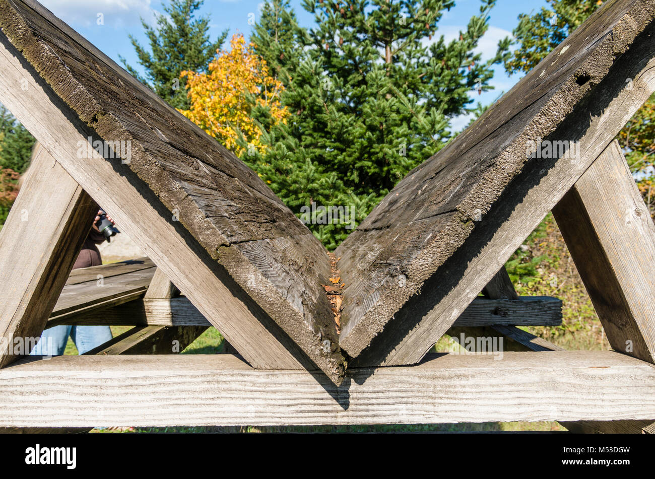 Flume used to transport logs to lumber mill at the Columbia Gorge ...