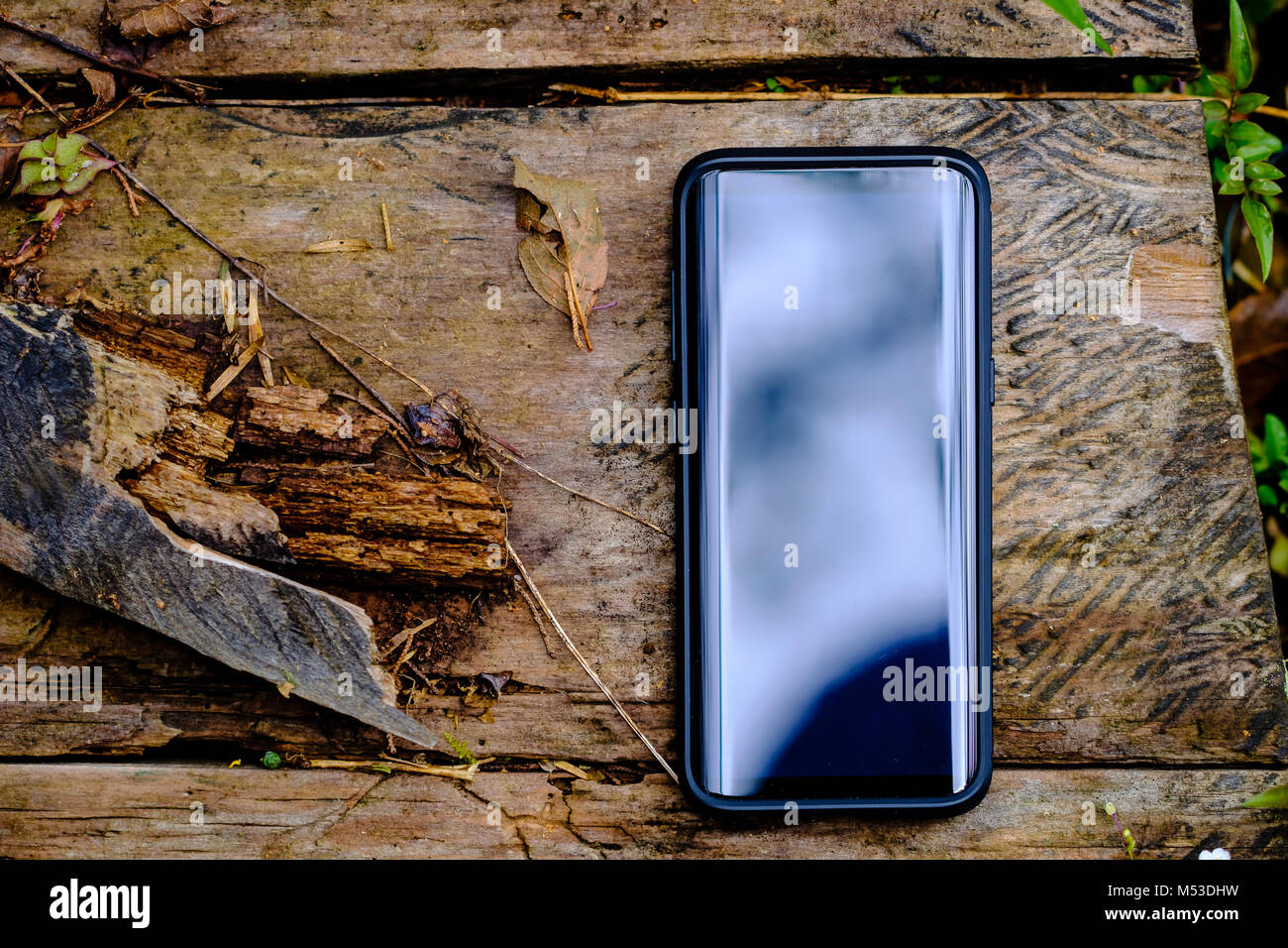cell phone on a wooden plank, being bathed in light, blurred background ...