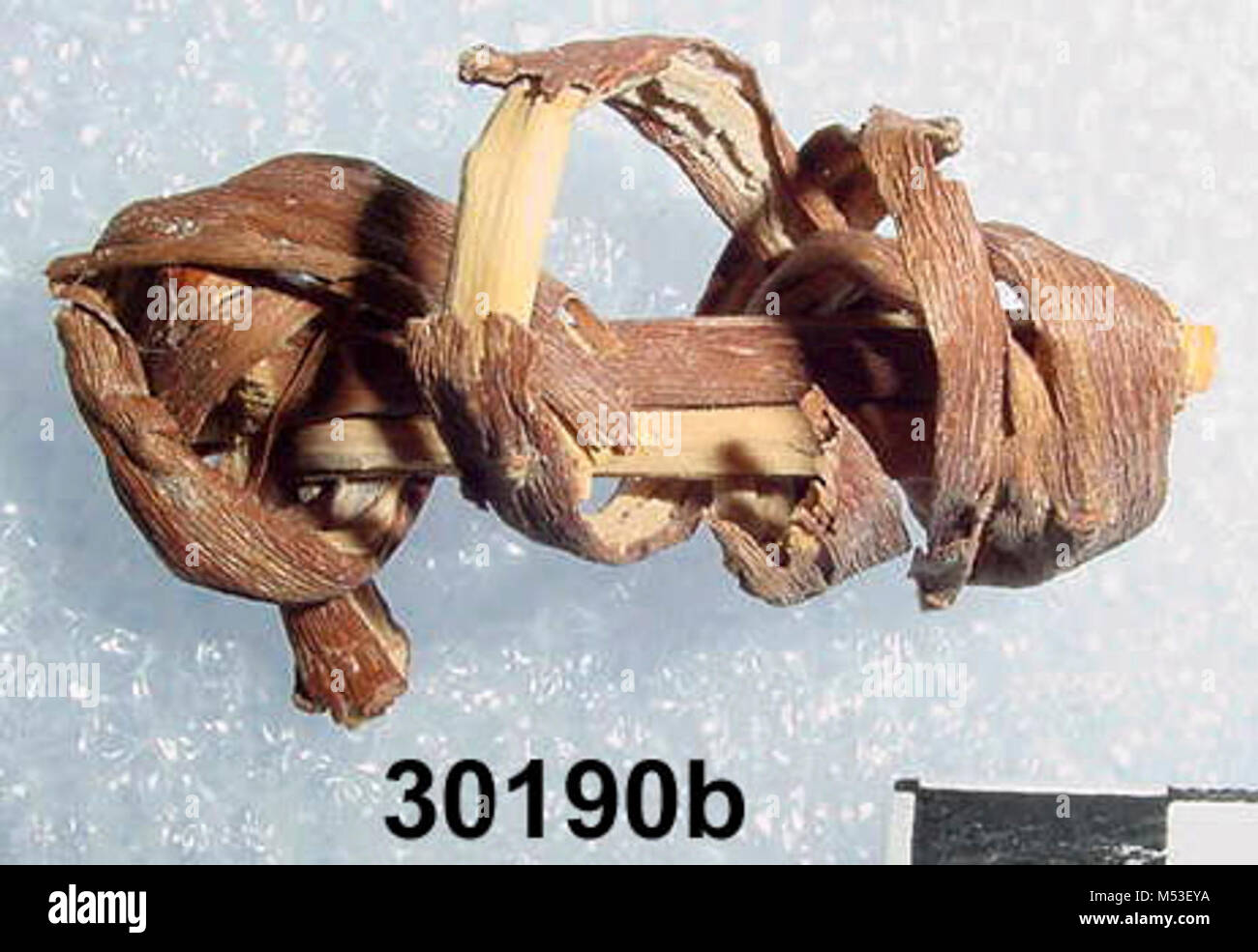 Split-Twig Figurine GRCAb. Some of the most facinating artifacts found ...