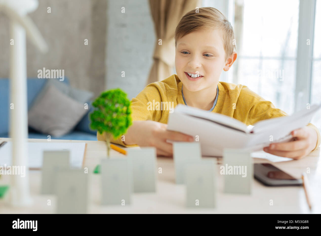 Pleasant boy revising paragraph about alternative energy Stock Photo ...