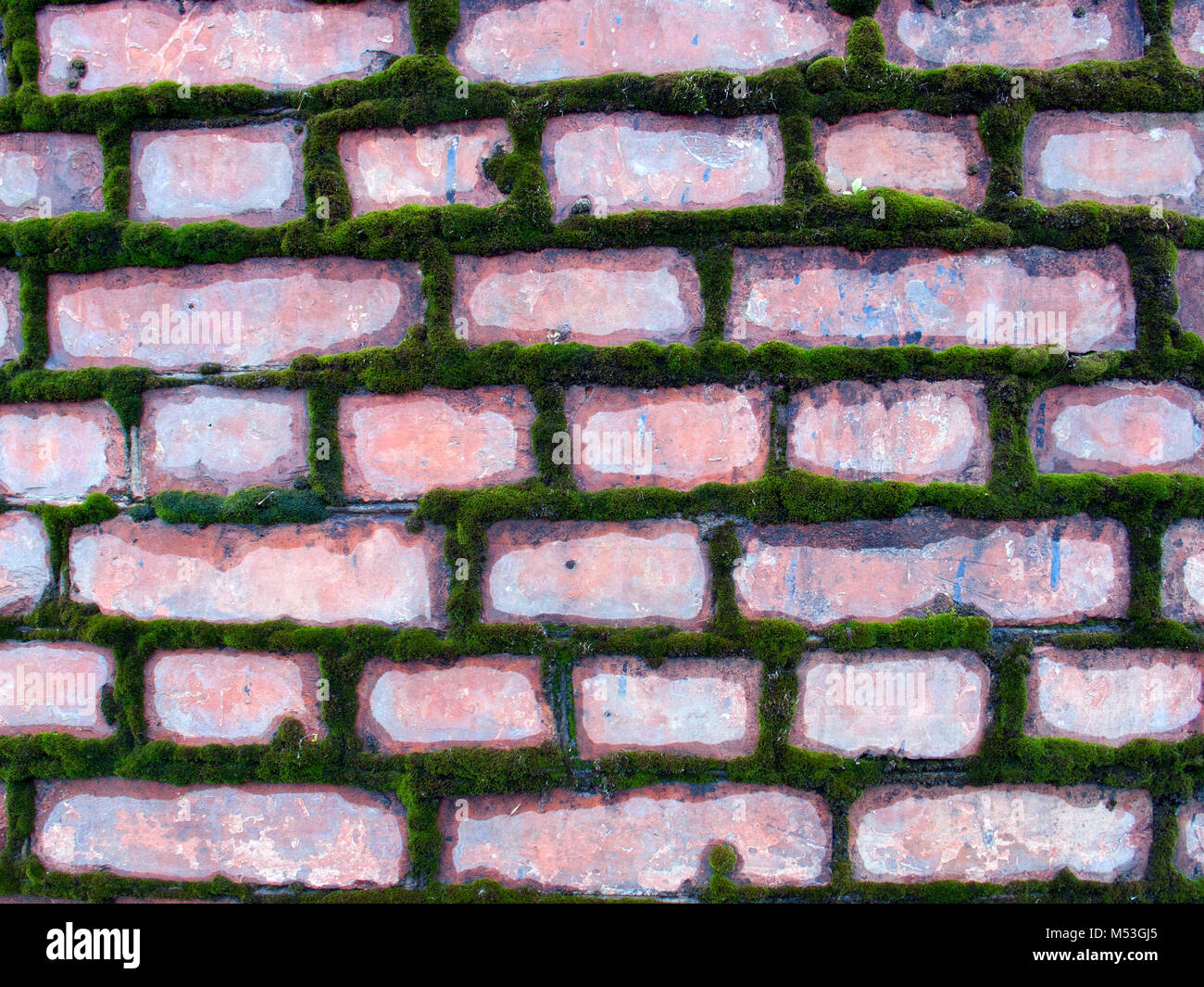 Old brick wall overgrown with moss, may be used as background Stock ...
