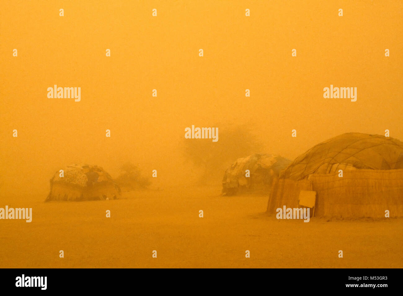 Mali. Gao. Sahel. Sahara desert. Draught of 1985. People from Touareg ...