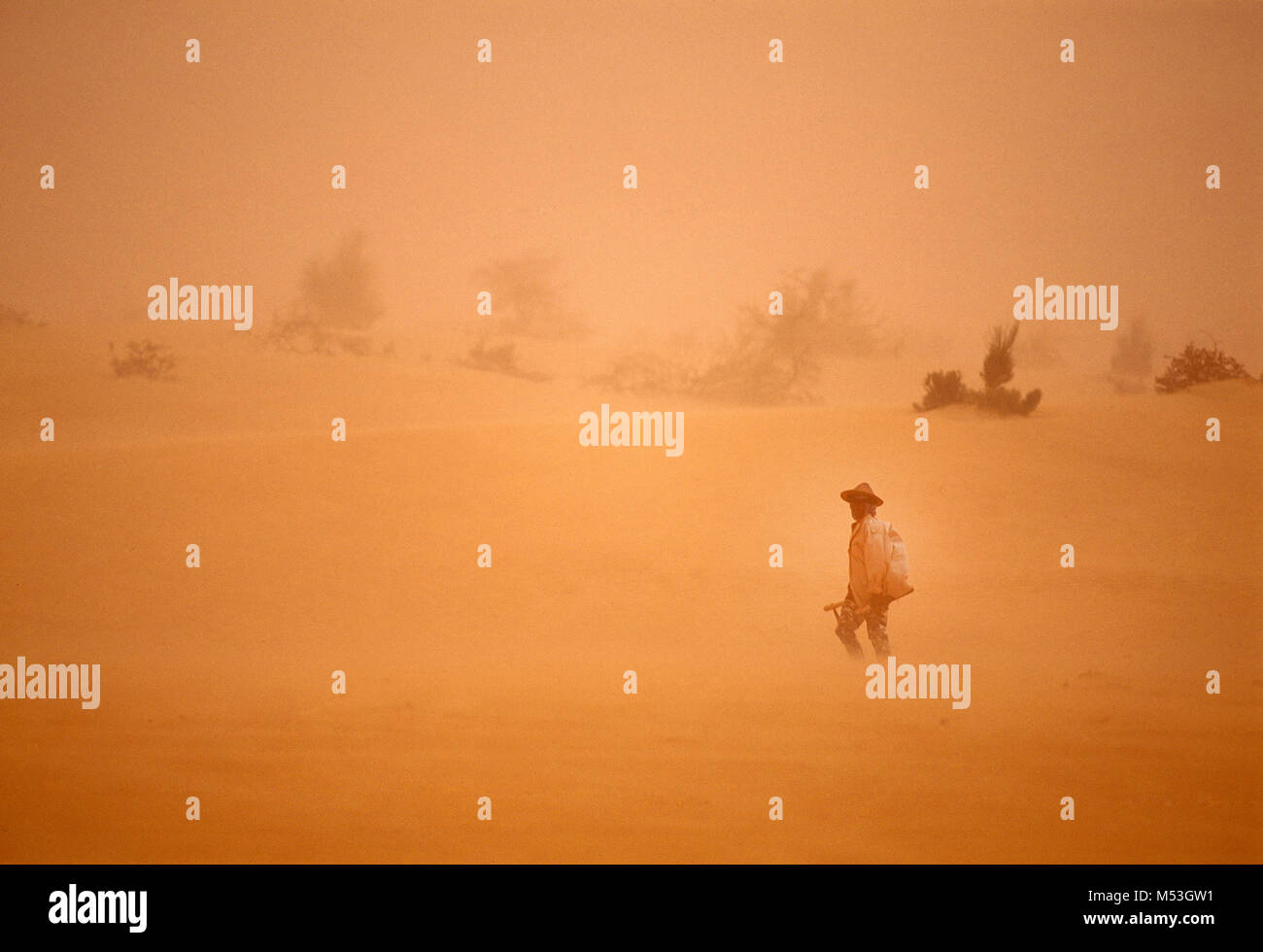 Mali. Bamba, Gao. Sahara desert. Sahel. Man of Songhai, Songrai tribe ...