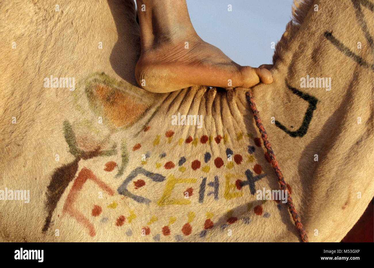 Mali festival in the desert hi-res stock photography and images - Alamy