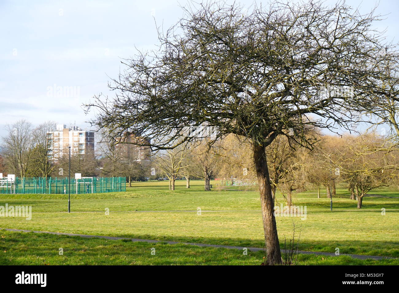 Roe Green Park, Kingsbury, London, UK Stock Photo - Alamy