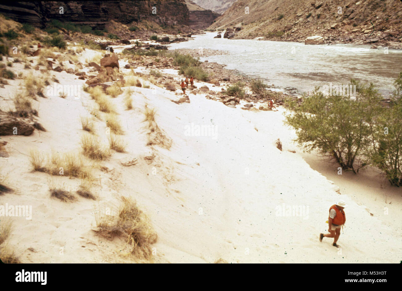 L1363 LEFT - LOWER DEER CREEK. LEFT - LOWER DEER CREEK. CC=40 ...