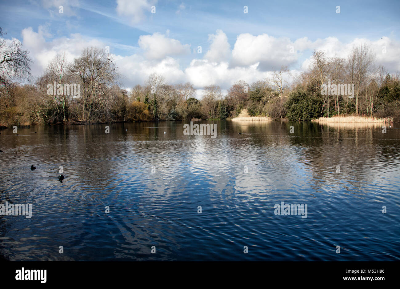 Battersea Park with Pond in Winter - London UK Stock Photo - Alamy