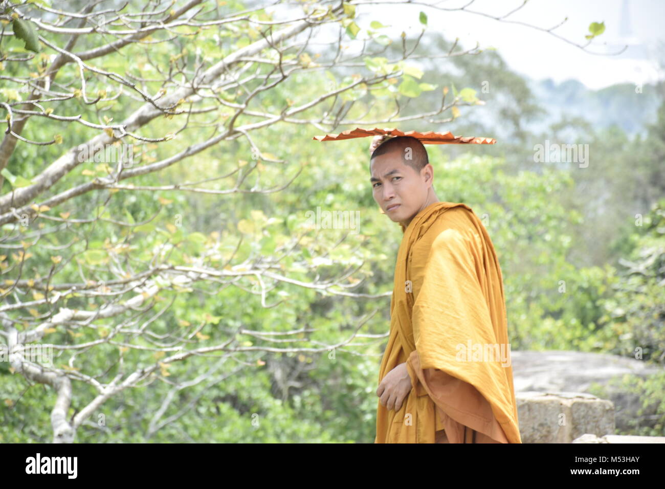 Buddhist hermit hi-res stock photography and images - Alamy