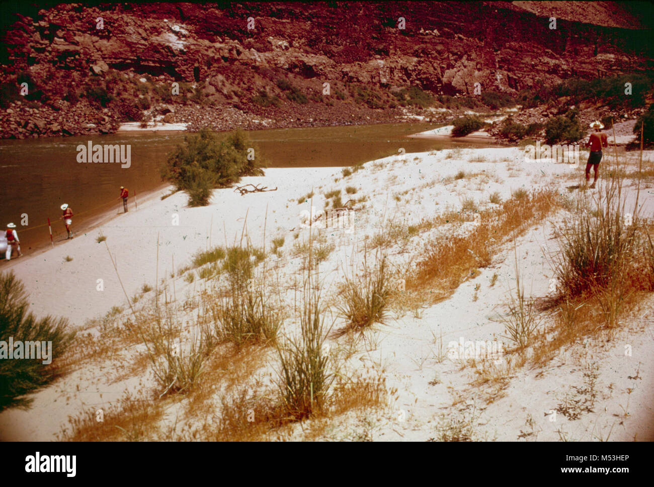 L1846 LEFT - 1846 MILE. LEFT - 184.6 MILE. CC=40. EXPOSED DUNE BEACH ...