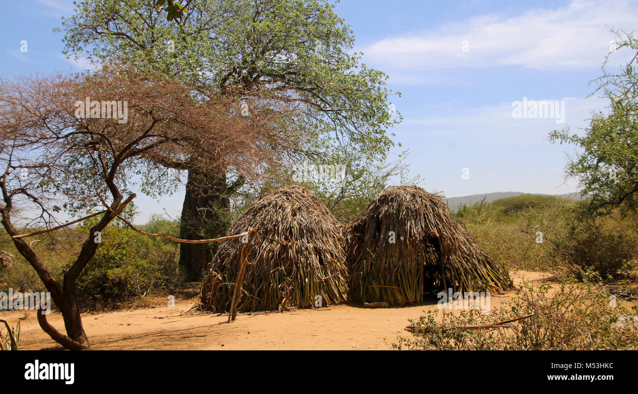 Straw Thatched huts in a Hadza Tribe village, Lake Eyasi, Tanzania ...
