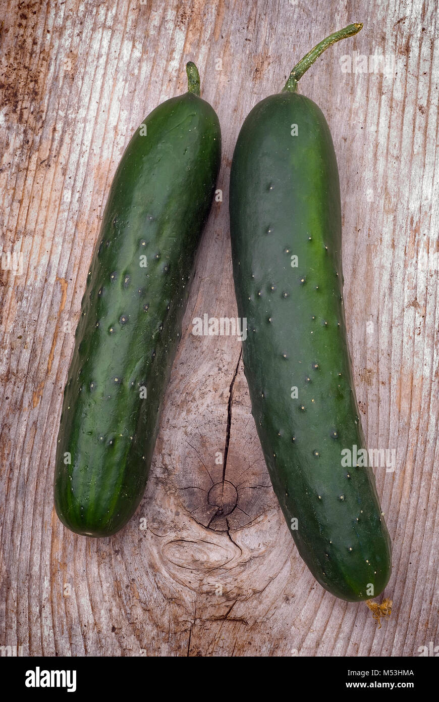 Cucumber (Cucumis sativus) on wooden table Stock Photo - Alamy
