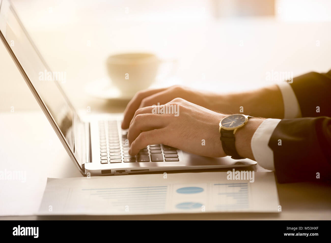 Male business leader using computer at office desk Stock Photo - Alamy