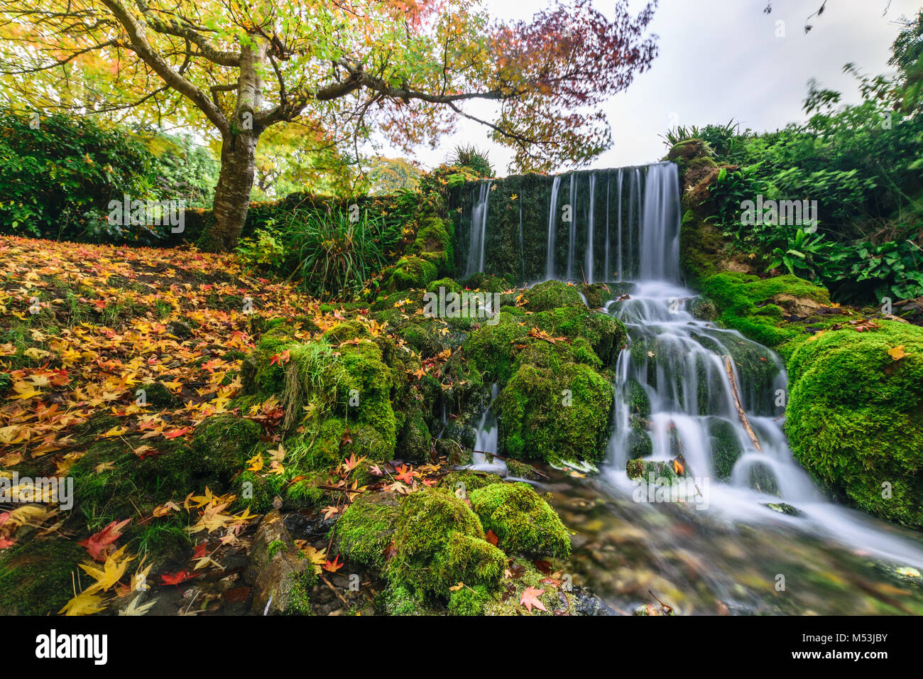Little Bredy Waterfall, Dorset High Resolution Stock Photography and ...