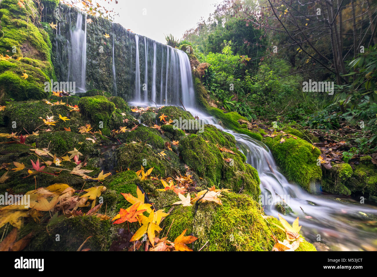 Little Bredy Waterfall, Dorset High Resolution Stock Photography and ...