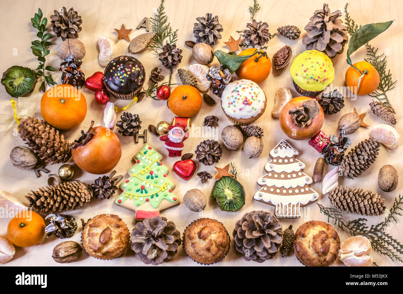 Thuja nut hi-res stock photography and images - Alamy