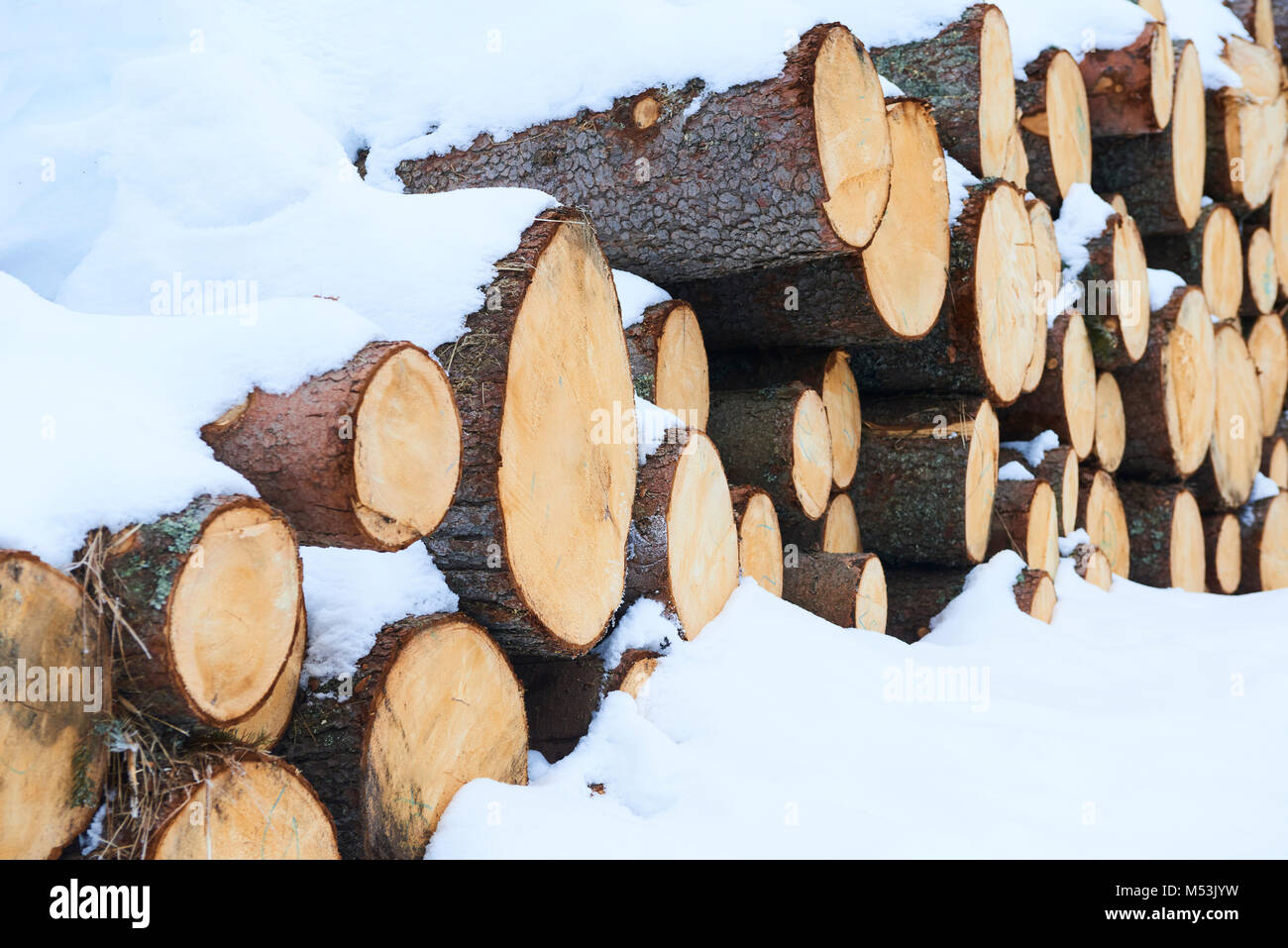 Natural wooden background - closeup of chopped firewood. Firewood ...