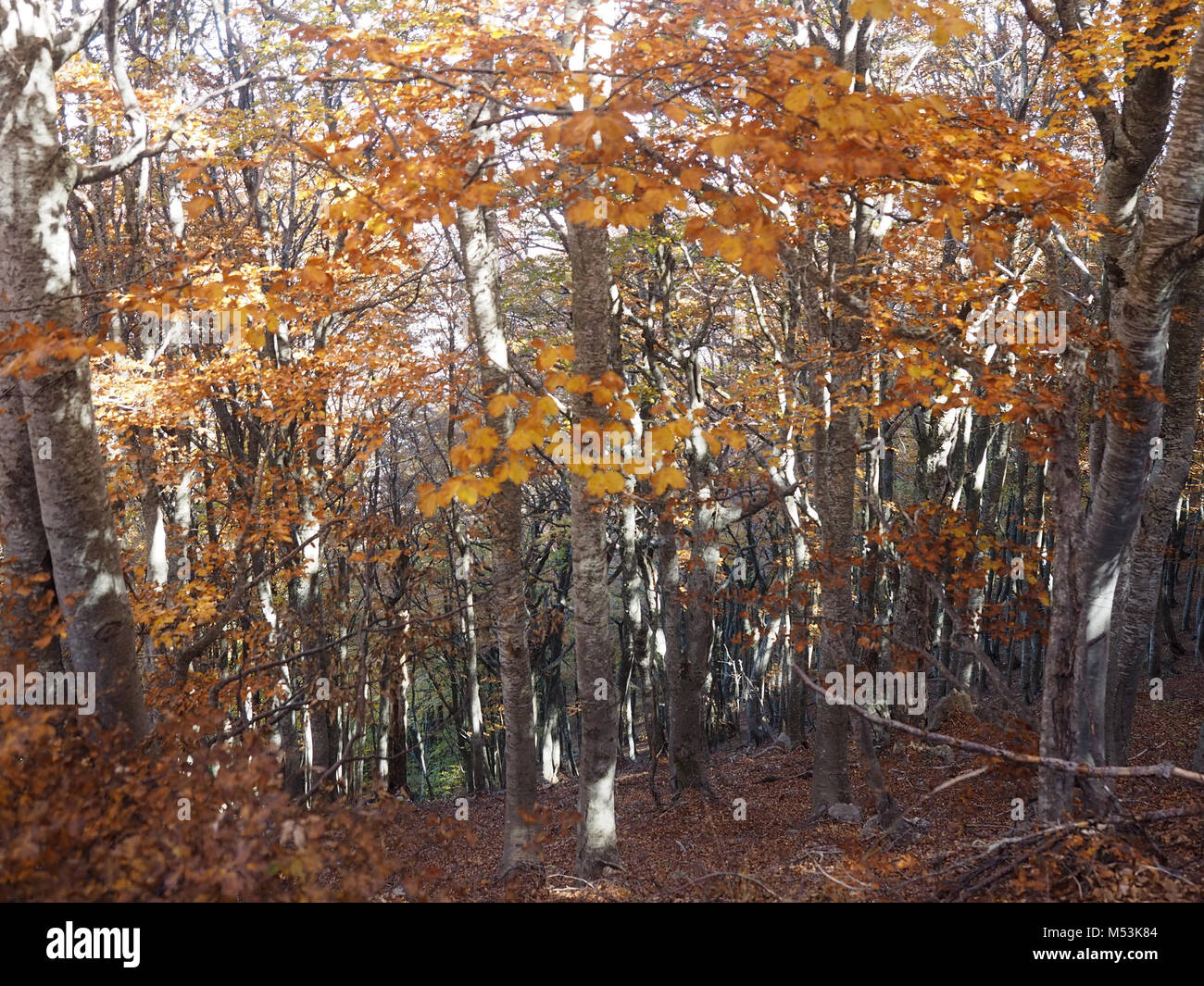 Pindus mountain range hi-res stock photography and images - Alamy