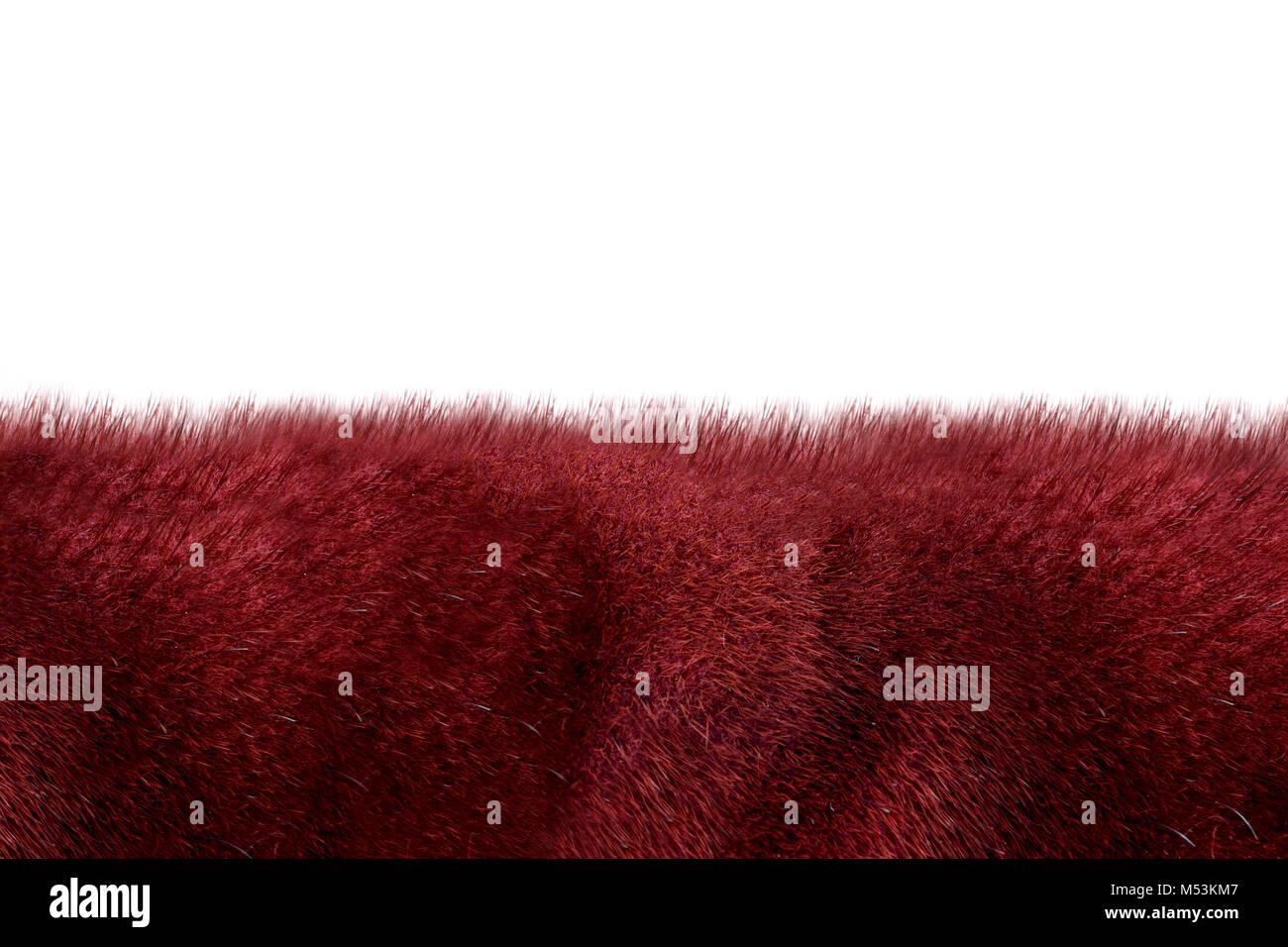 Short fur texture hi-res stock photography and images - Alamy