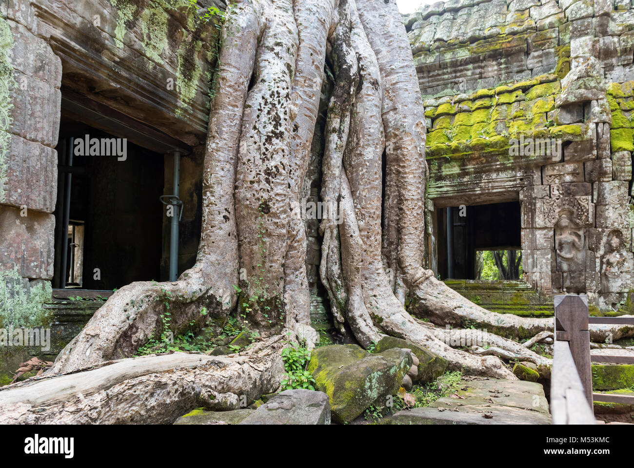 Crocodile temple hi-res stock photography and images - Alamy